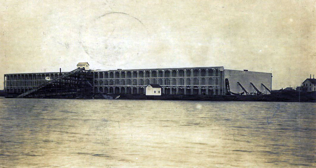 Victorian America's Ice Delivery - Kristin Holt