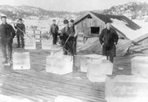 Nineteenth Century Ice Cutting, Part 3 - Kristin Holt