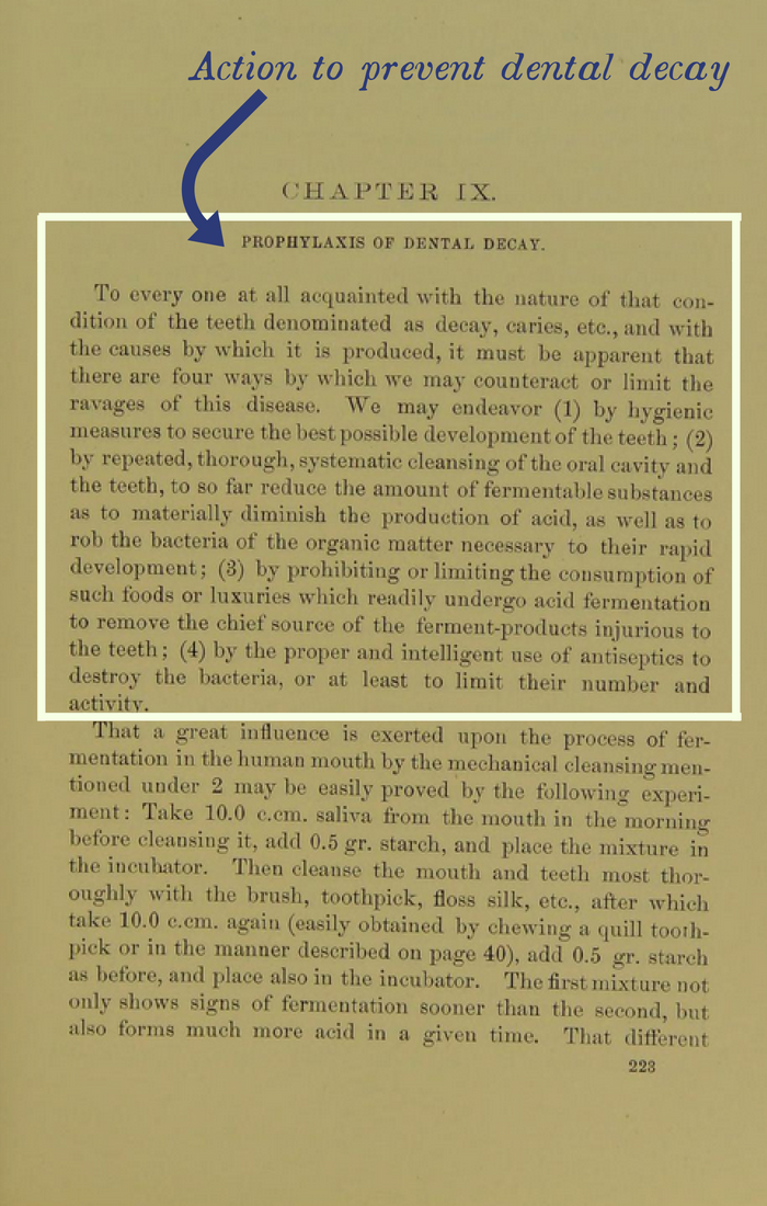 Victorian Mouths ~ Worms or Germs? - Kristin Holt