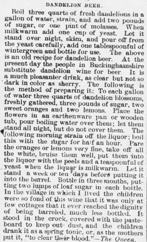 Victorian America's Dandelions - Kristin Holt