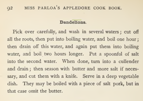 Victorian America's Dandelions - Kristin Holt